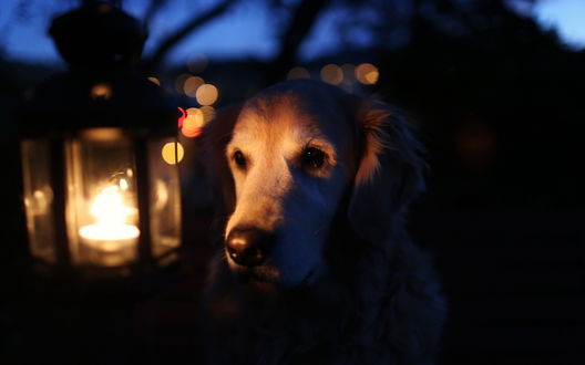 Обои на рабочий стол Светящийся фонарь в руке человека, обои для ...