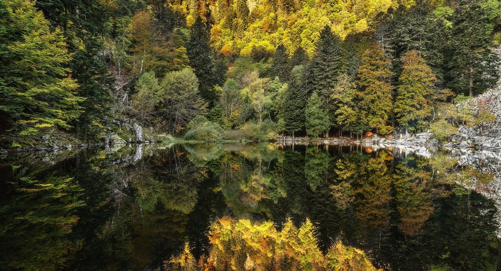 Обои на рабочий стол Лес у озера, фотограф Etienne Ruff, обои для ...