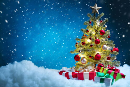 Обои на рабочий стол Яркая новогодняя елочка на фоне заснеженного леса ...