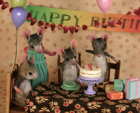 Фото Happy Birthday / С днем рождения