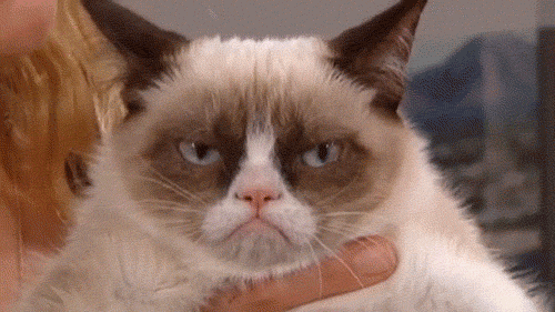 Гиф анимация Grumpy Cat / Грустный кот на руках хозяйки